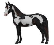 Tennessee Walker Horse Breed Of Jorvik Star Stable