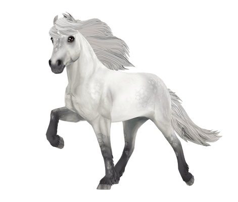 Icelandic | Horse breed | Star Stable Icelandic | Horse breed | Star Stable