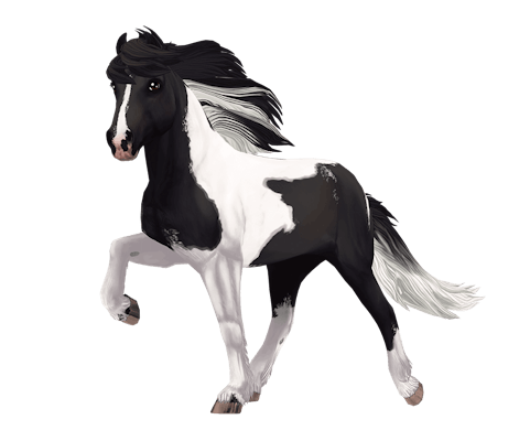 Icelandic | Horse breed | Star Stable