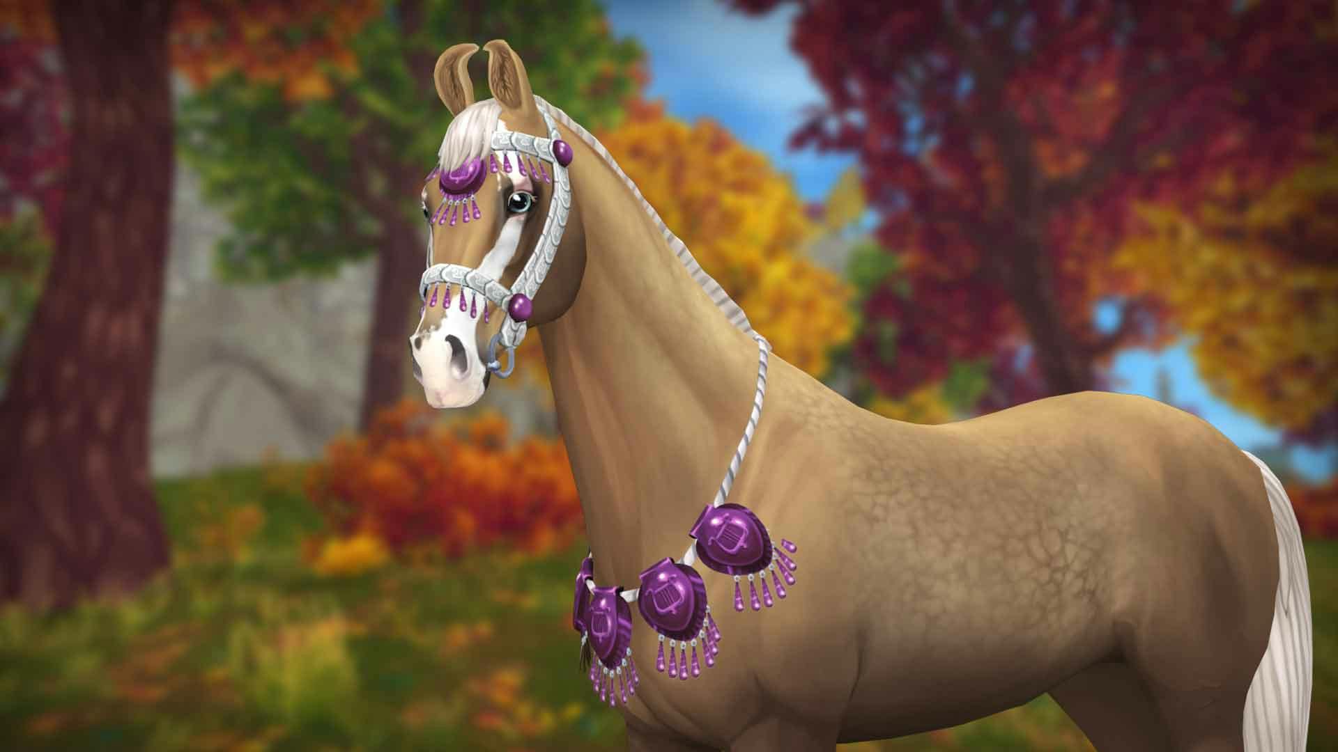 Marwari | Horse breed | Star Stable