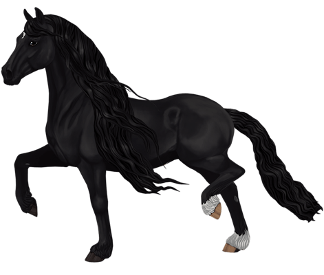 Friesian | Horse breed | Star Stable