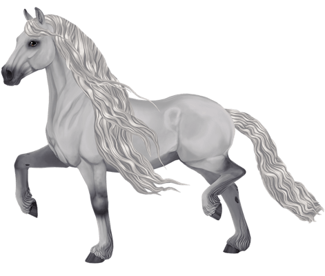 Friesian | Horse breed | Star Stable