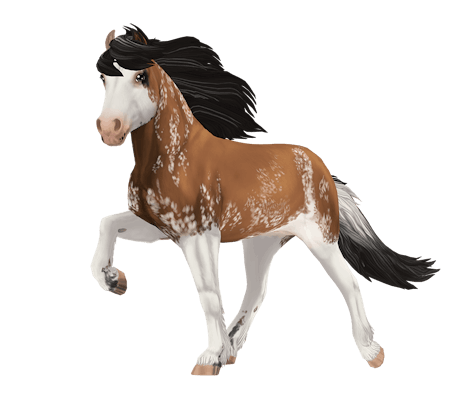 Icelandic | Horse breed | Star Stable