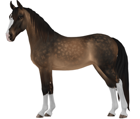 Tennessee Walker | Horse breed | Star Stable