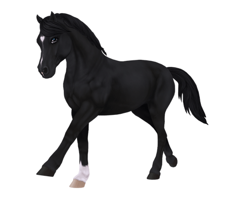 Welsh Pony | Horse breed | Star Stable