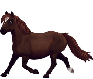 Horses of Jorvik – Breeds from Star Stable Online