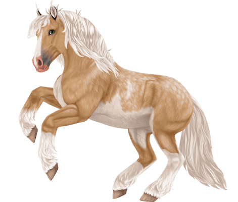 Jorvik Wild Horse | Horse breed | Star Stable