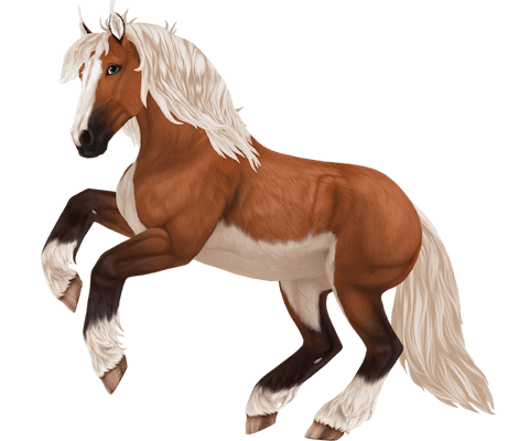 Jorvik Wild Horse | Horse breed | Star Stable