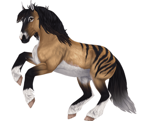 Jorvik Wild Horse | Horse breed | Star Stable