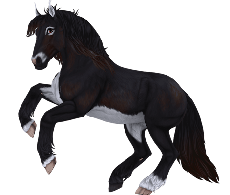 Jorvik Wild Horse | Horse breed | Star Stable
