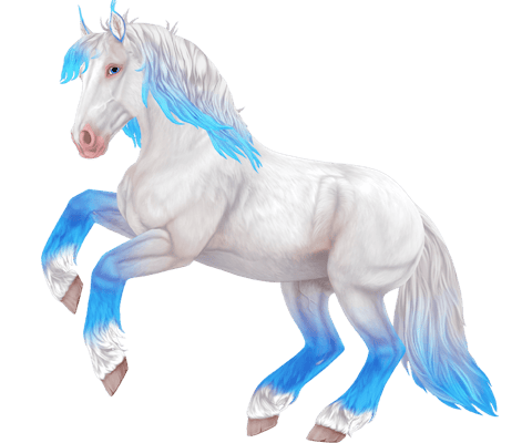 Jorvik Wild Horse | Horse breed | Star Stable