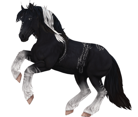 Jorvik Wild Horse | Horse breed | Star Stable