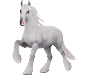 Horses of Jorvik – Breeds from Star Stable Online