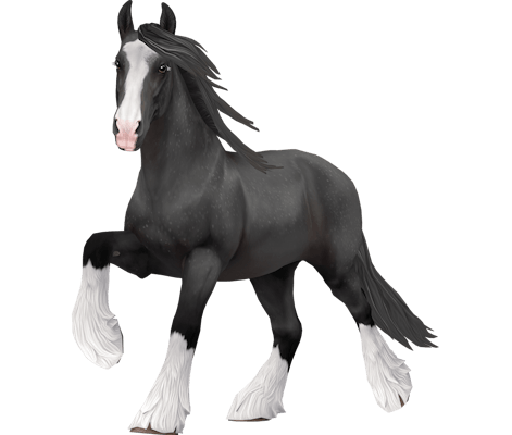 Shire | Horse breed | Star Stable