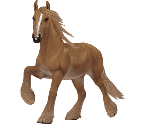 Shire | Horse breed | Star Stable