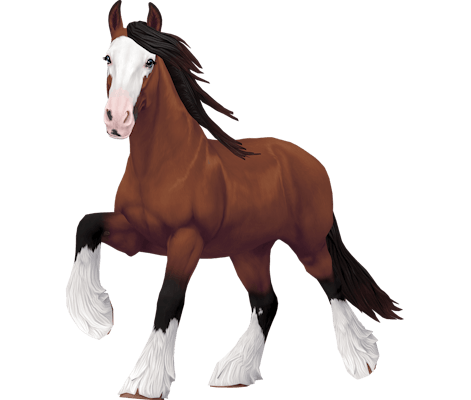 Shire | Horse breed | Star Stable