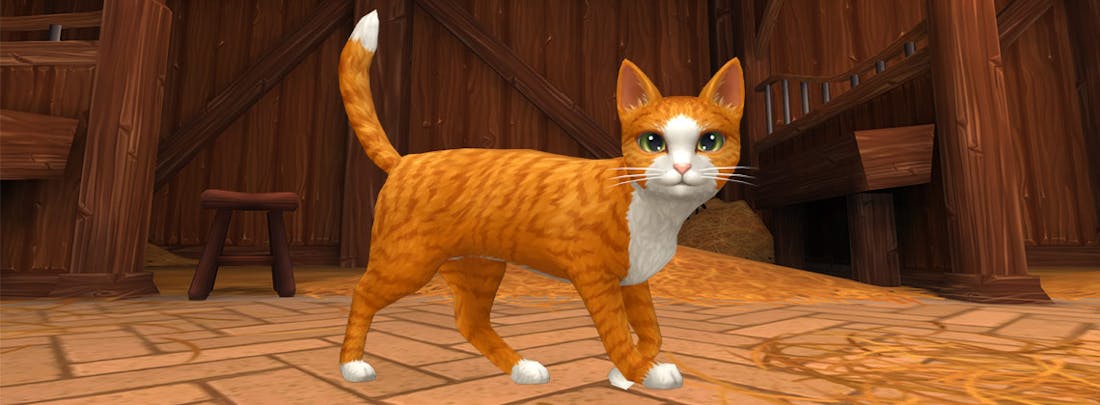 Ett nytt husdjur! | Star Stable