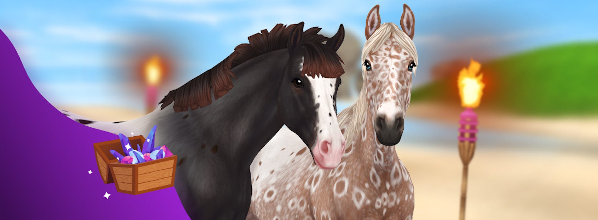 Комплекты пляжного фестиваля для Star Rider! | Star Stable