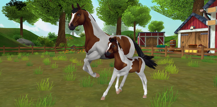 De Zuiderhoef Rescue Ranch! | Star Stable