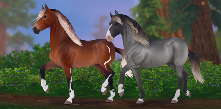 Les éblouissants Calder et Éphyra ! | Star Stable