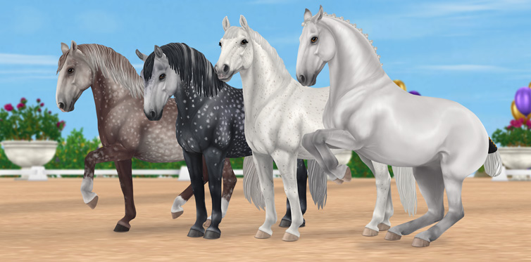 Un dressage au poil ! | Star Stable