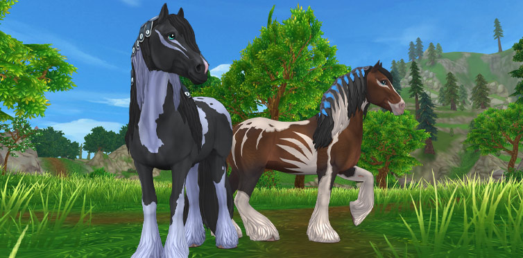 Nieuw: de Dorcha en de Solas! | Star Stable