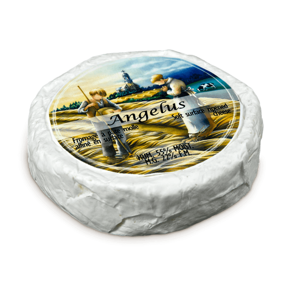 Angelus | Fromages d'ici