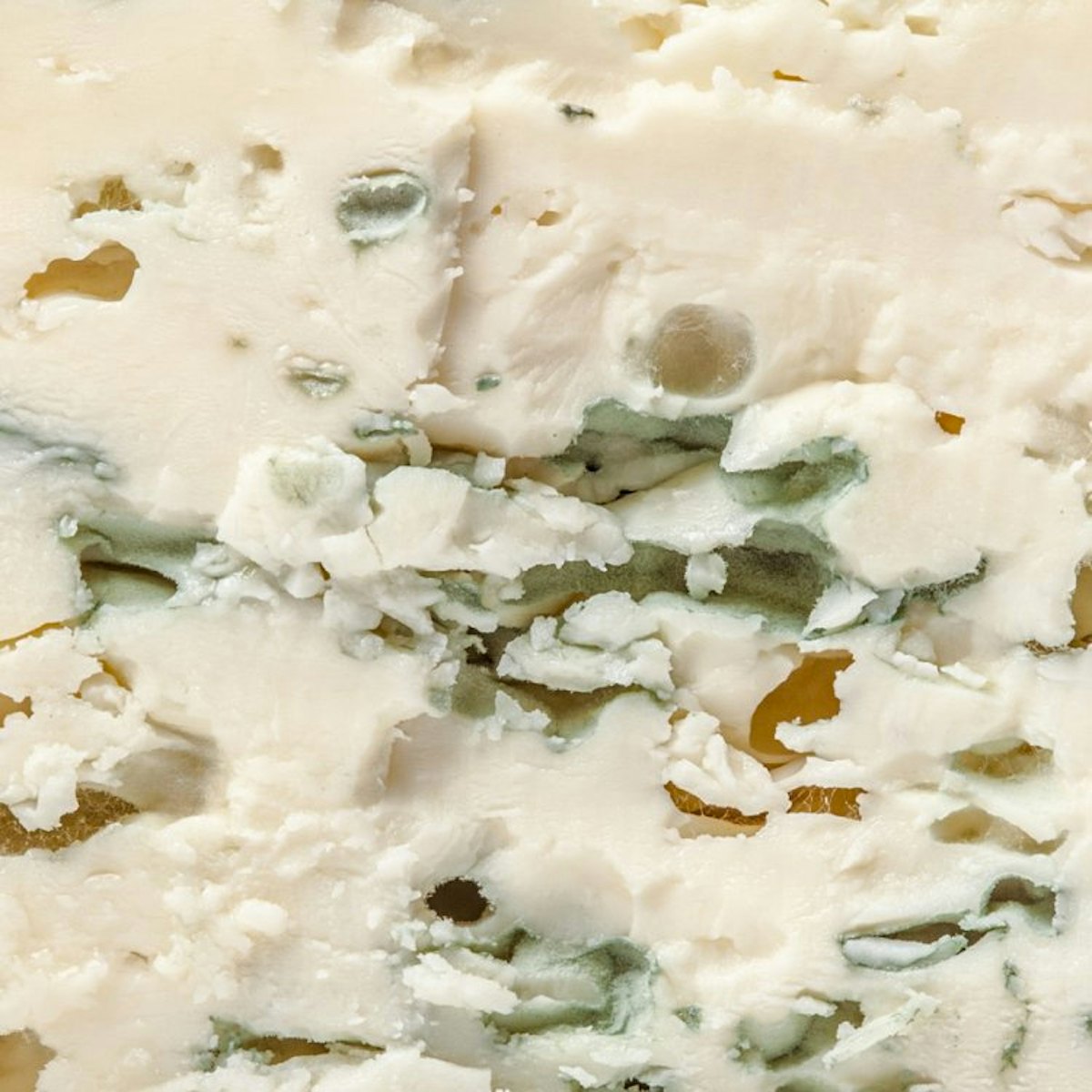 Les meilleurs fromages à pâte persillée | Fromages d'ici