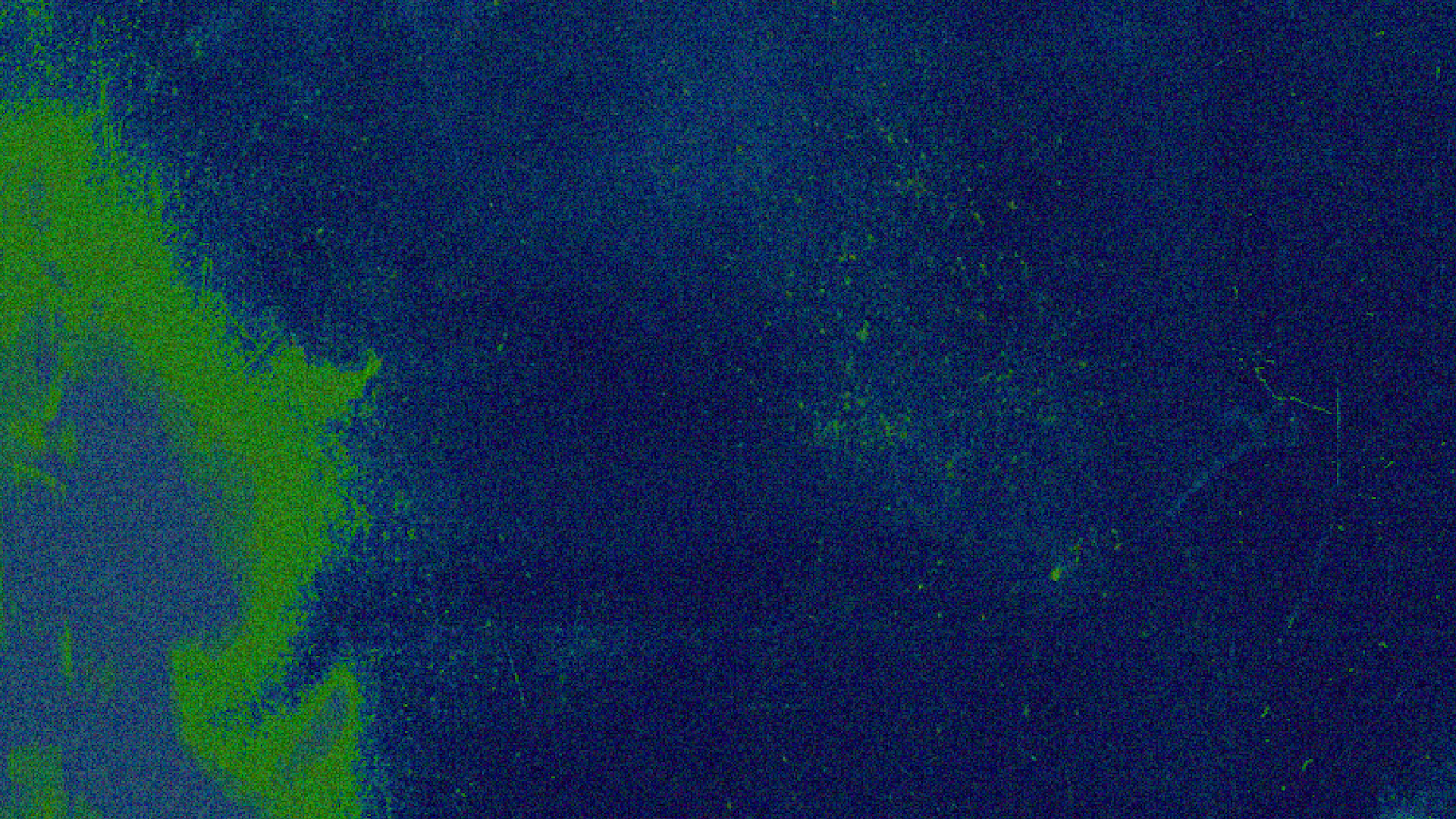 Beast House – Timing and Tickets | MDLBEAST