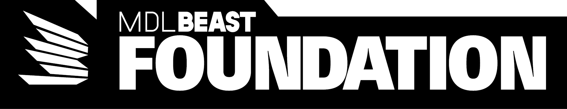 MDLBEAST Foundation Overview | MDLBEAST