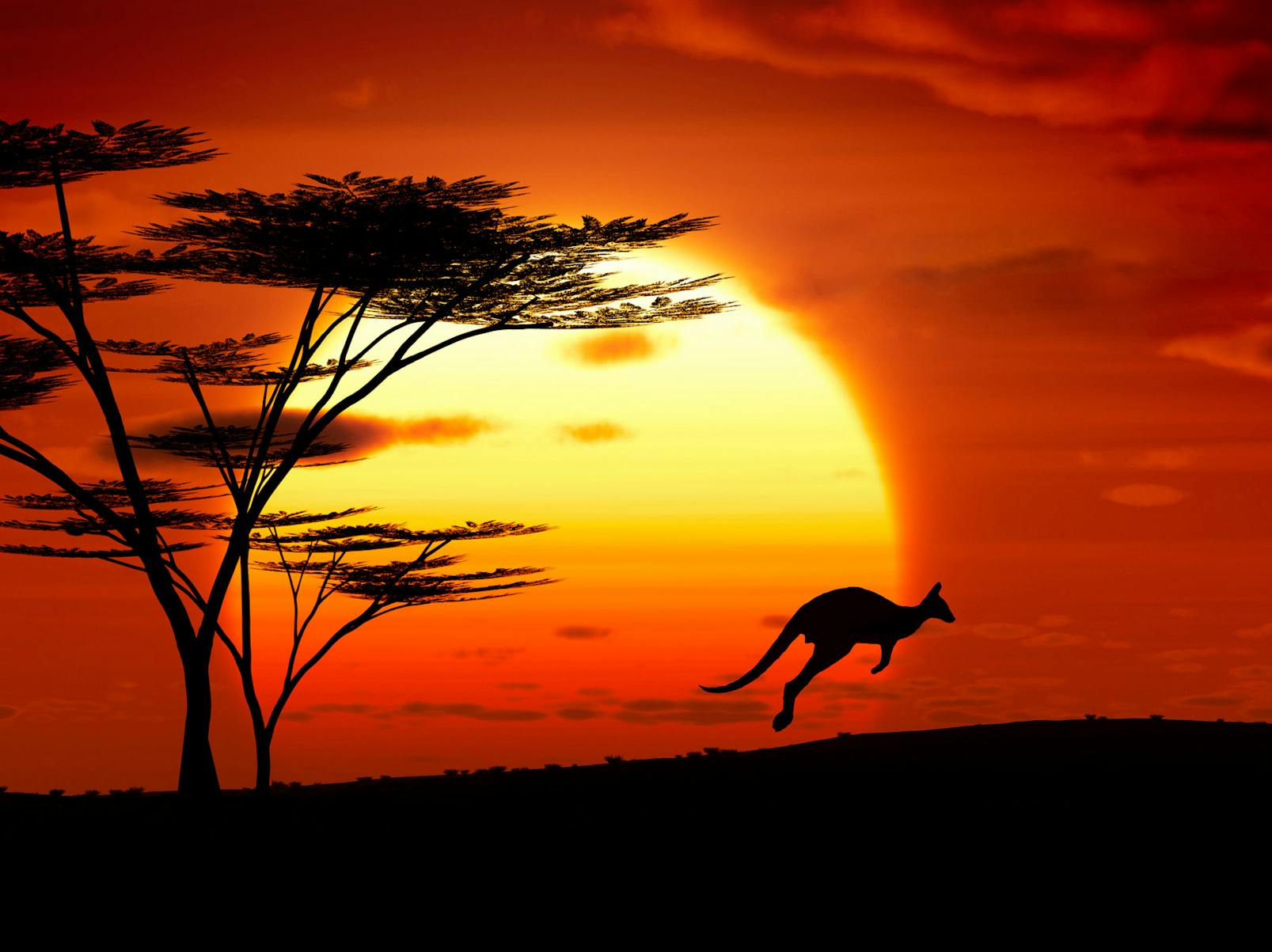 Facts About Australia Interesting Fun Australia Facts facts-about-australia-interesting-fun-australia-facts