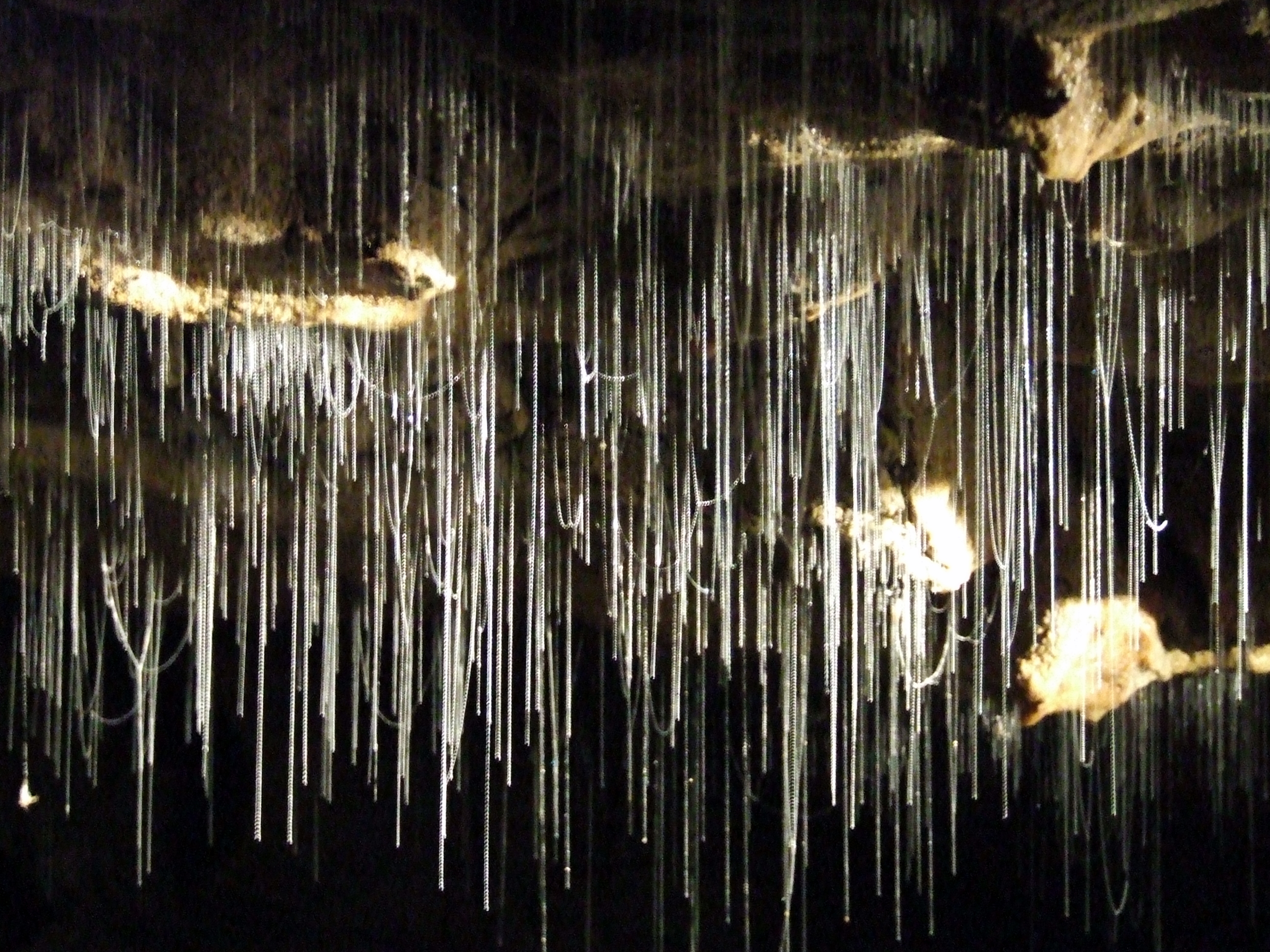 Amazing Photos Of New Zealand's Waitomo Glowworm Cave
