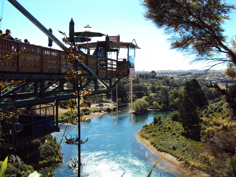 Bungy Jumping in Auckland, Taupo, Rotorua, Queenstown!