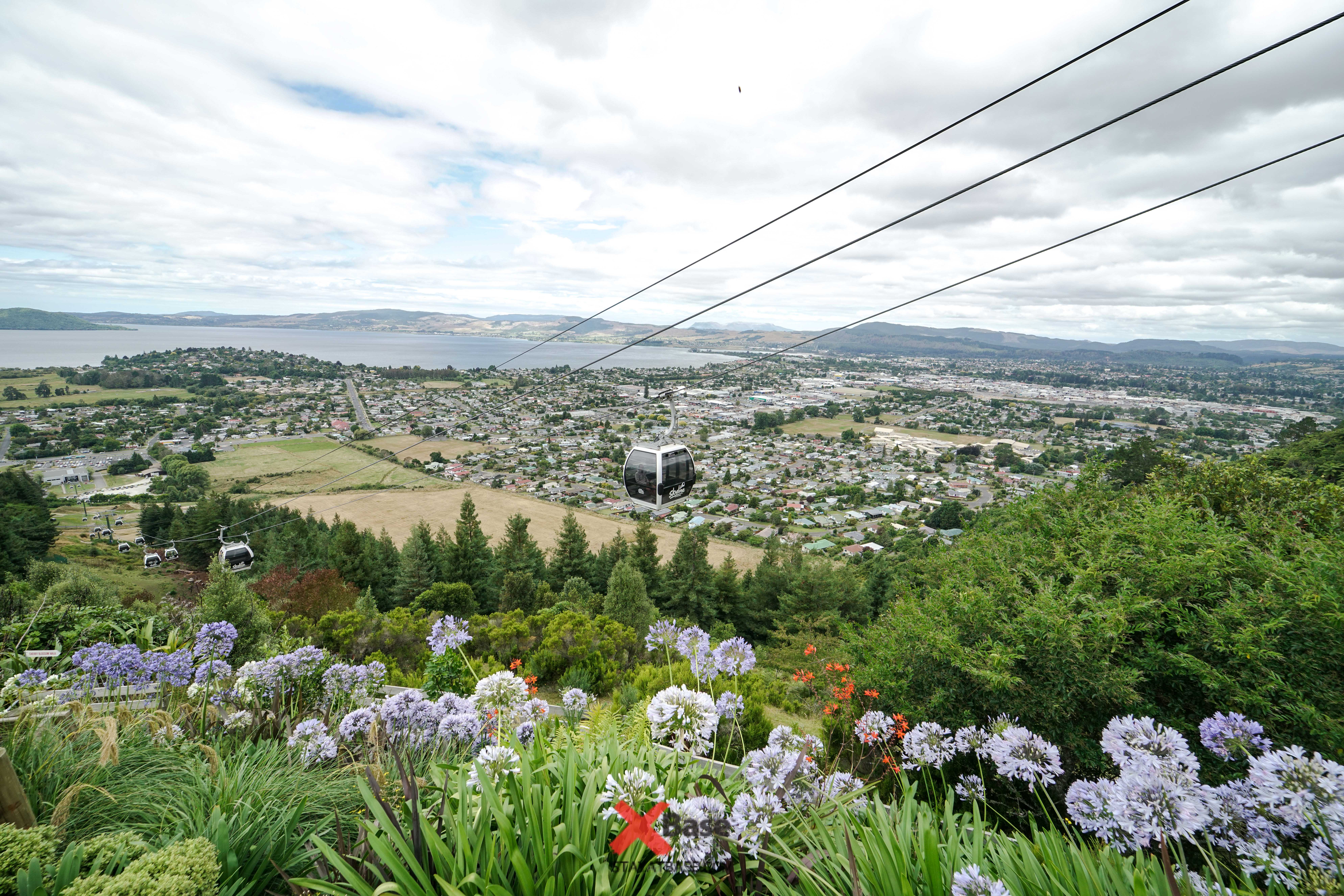 Skyline Rotorua Luge, Gondola, Scenic Walks, Wine and more