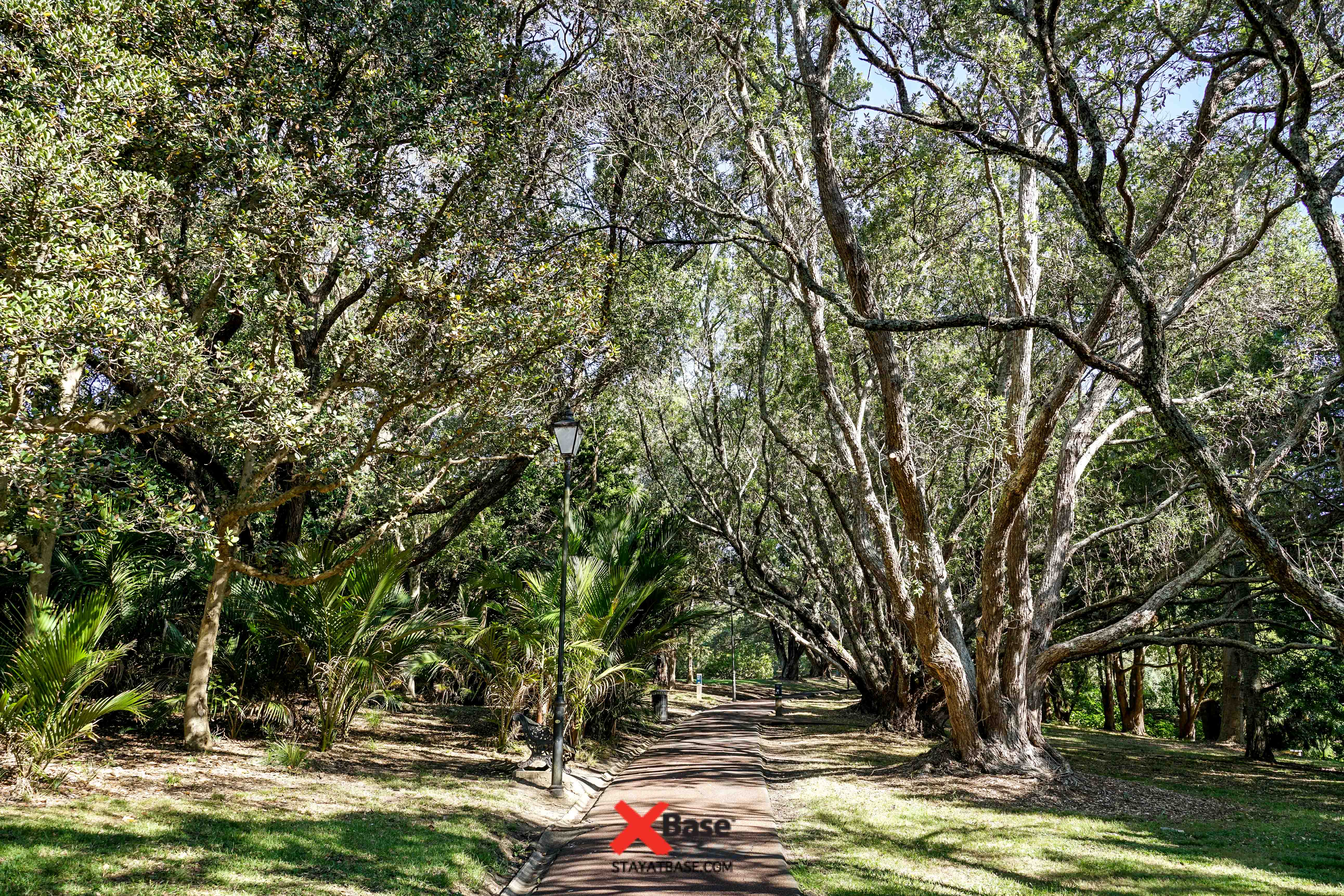 Auckland Domain | Home to Auckland Museum & Wintergardens