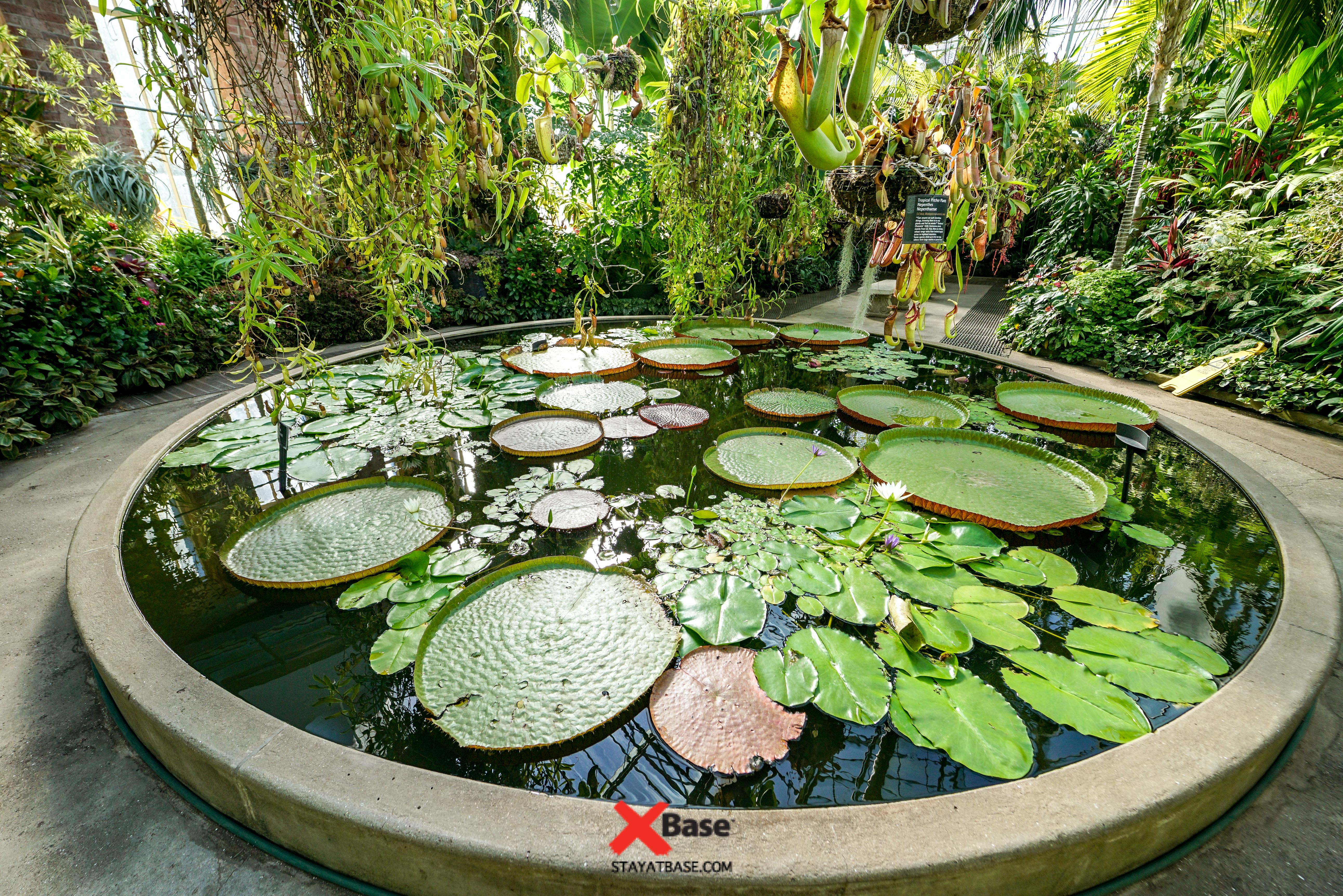 Auckland Domain | Home to Auckland Museum & Wintergardens