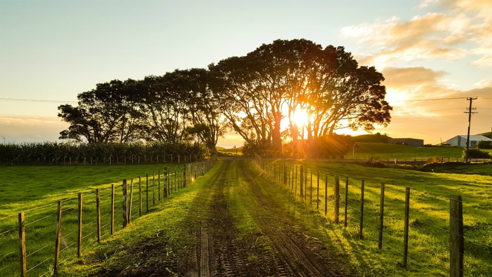 Top 5 Spots to Snap the Best New Zealand Sunsets