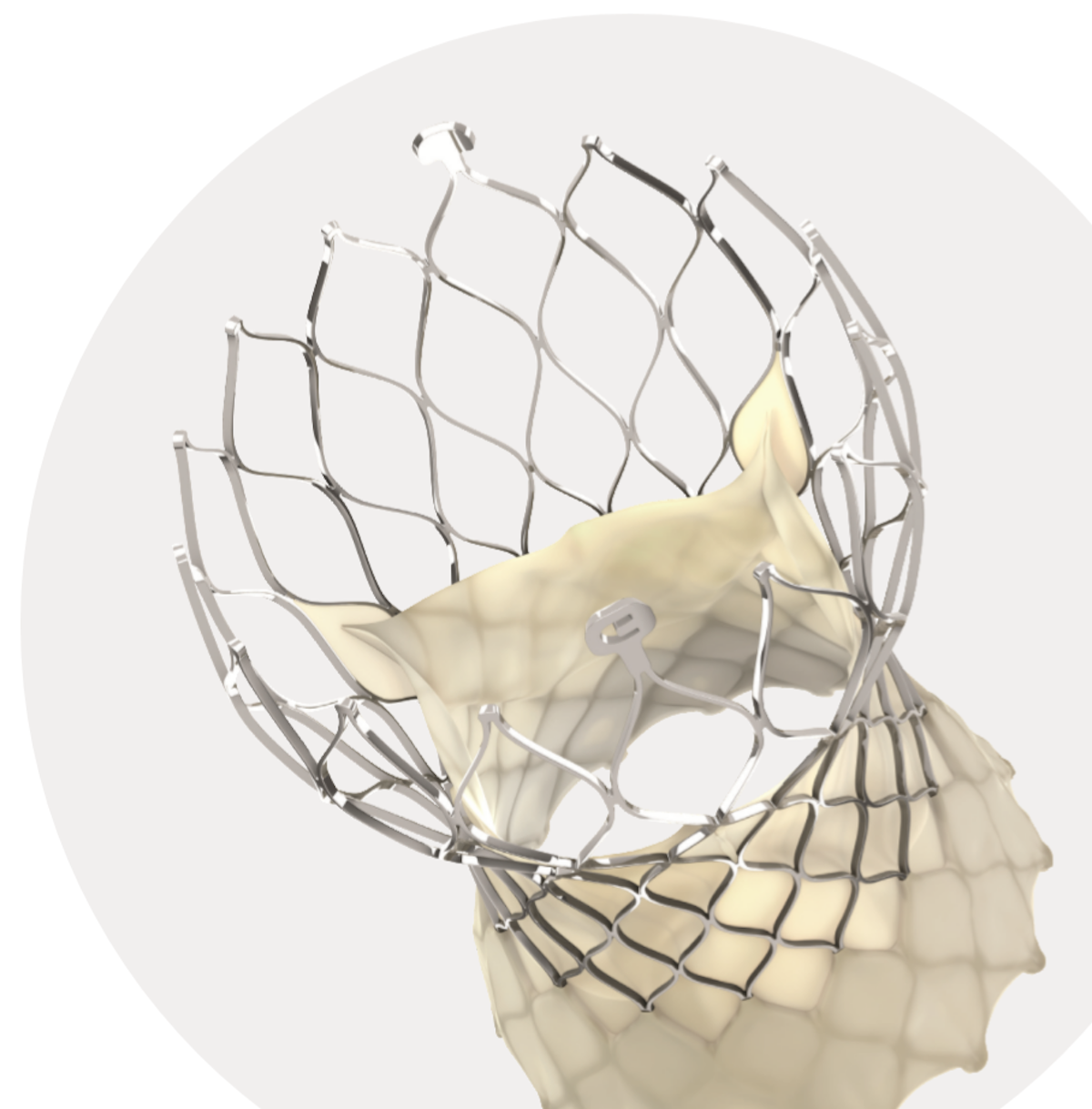 Préparation et procédure de chargement TAVI Evolut™