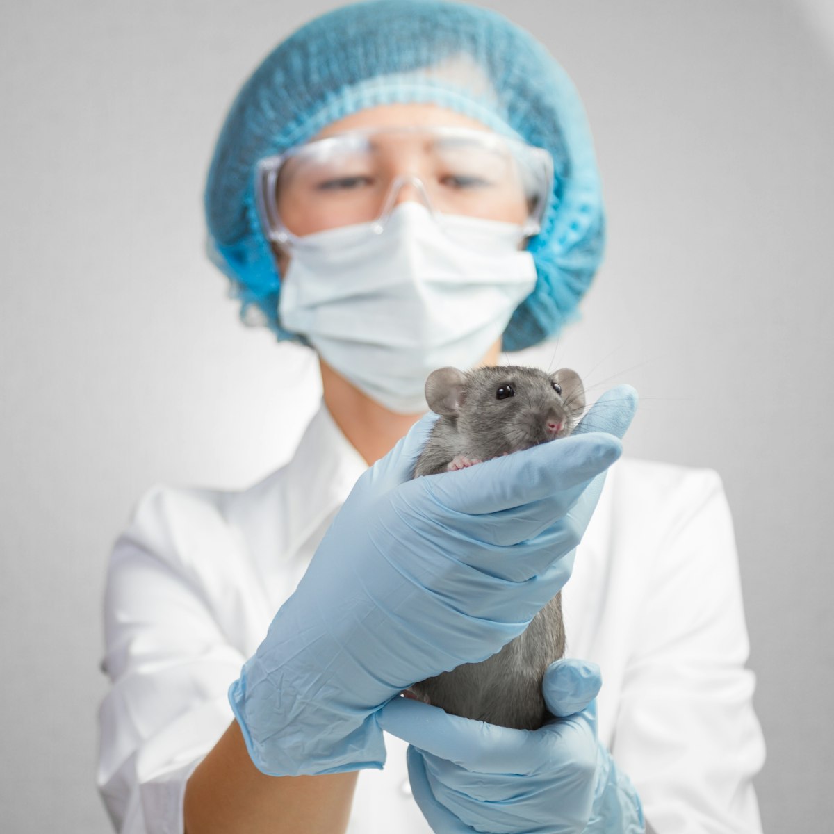 Diploma of Animal Technology | Box Hill Institute