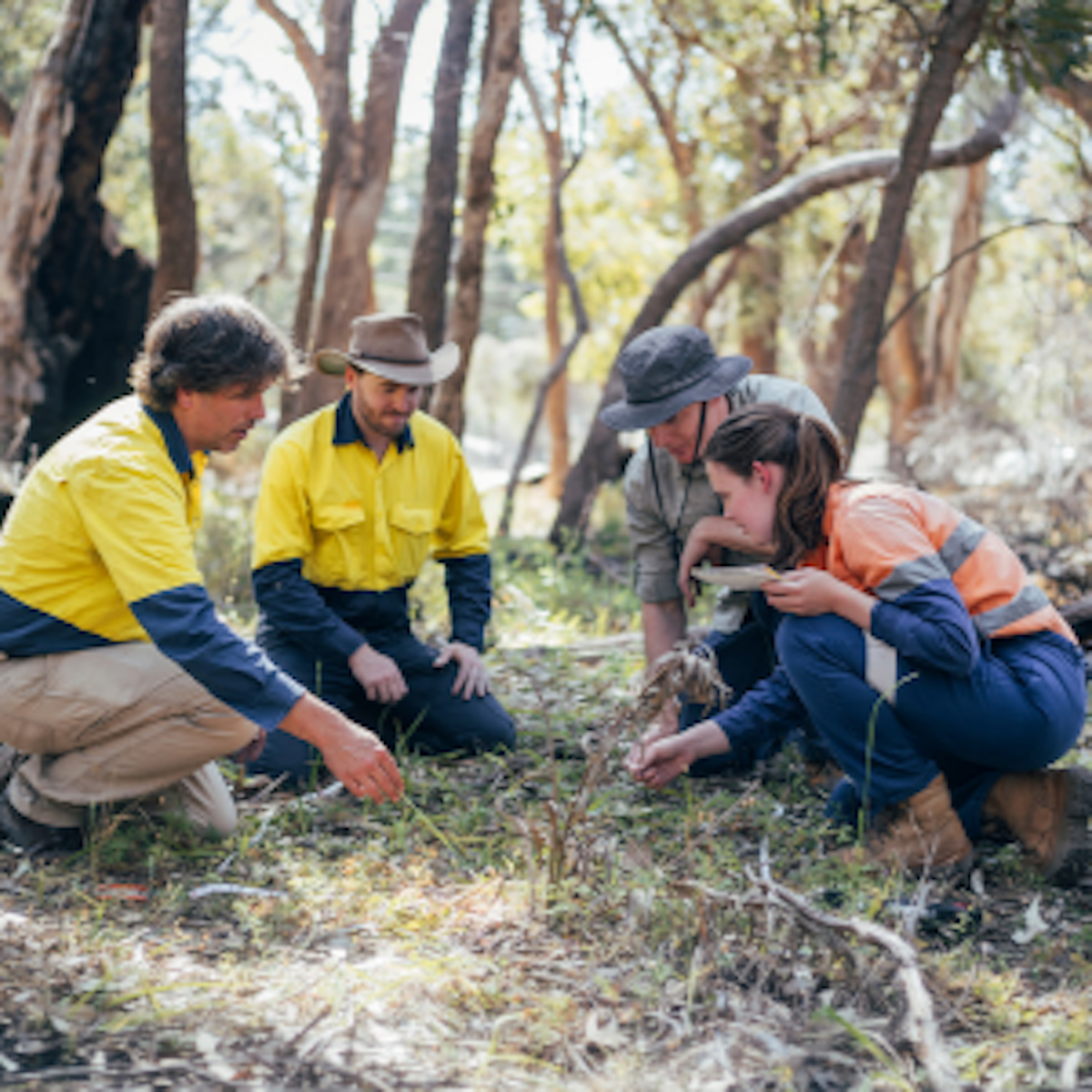 Conservation & Land Management Courses | Box Hill Institute | Box Hill ...