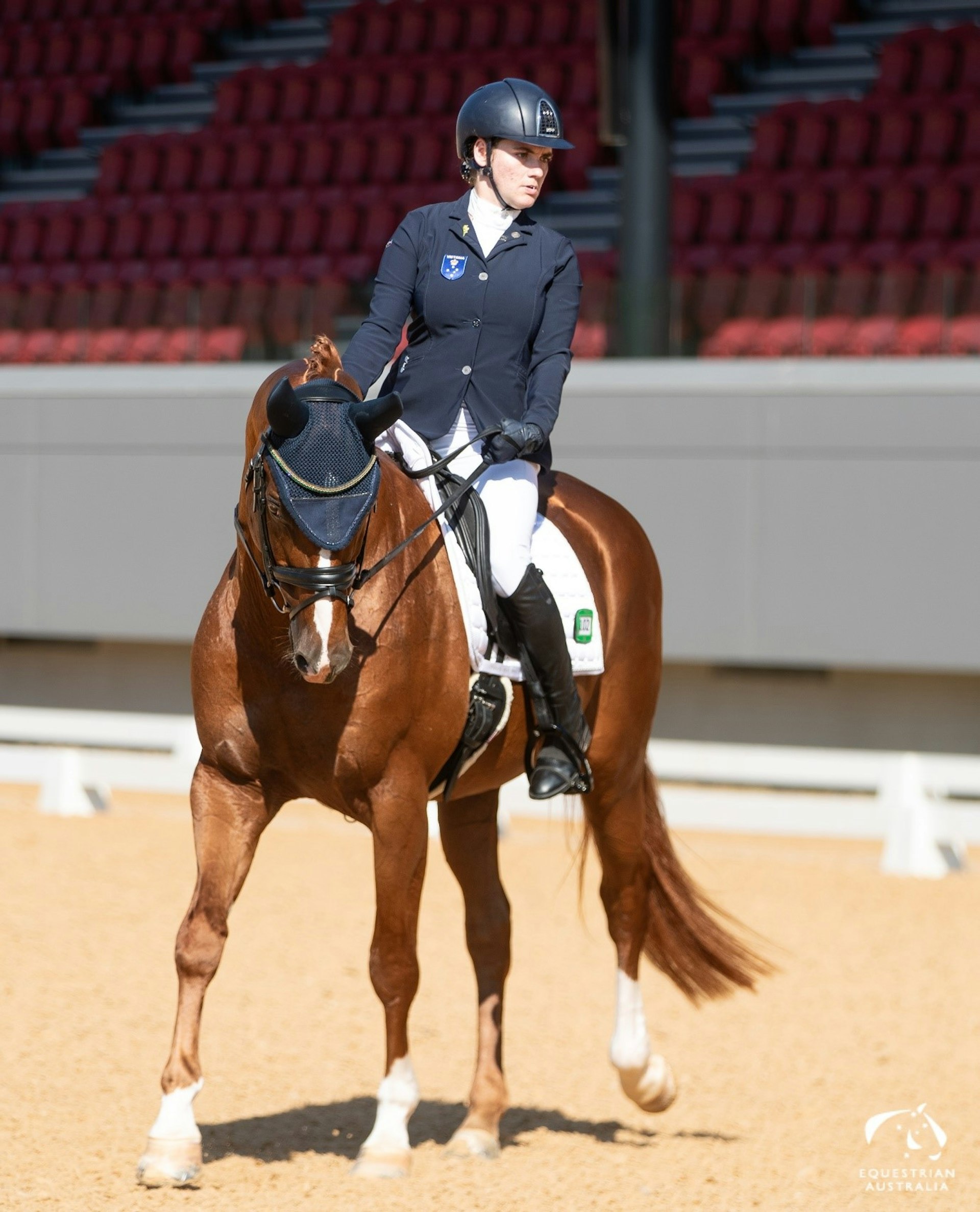 Prahran Paralympian saddles up for success | Box Hill Institute