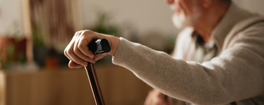 What Is the Difference Between a Cane and a Walking Stick? | Chapter