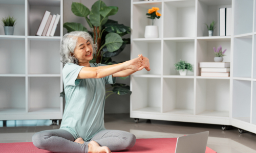 15 Best Physical Therapy Exercises for Seniors · Chapter Medicare