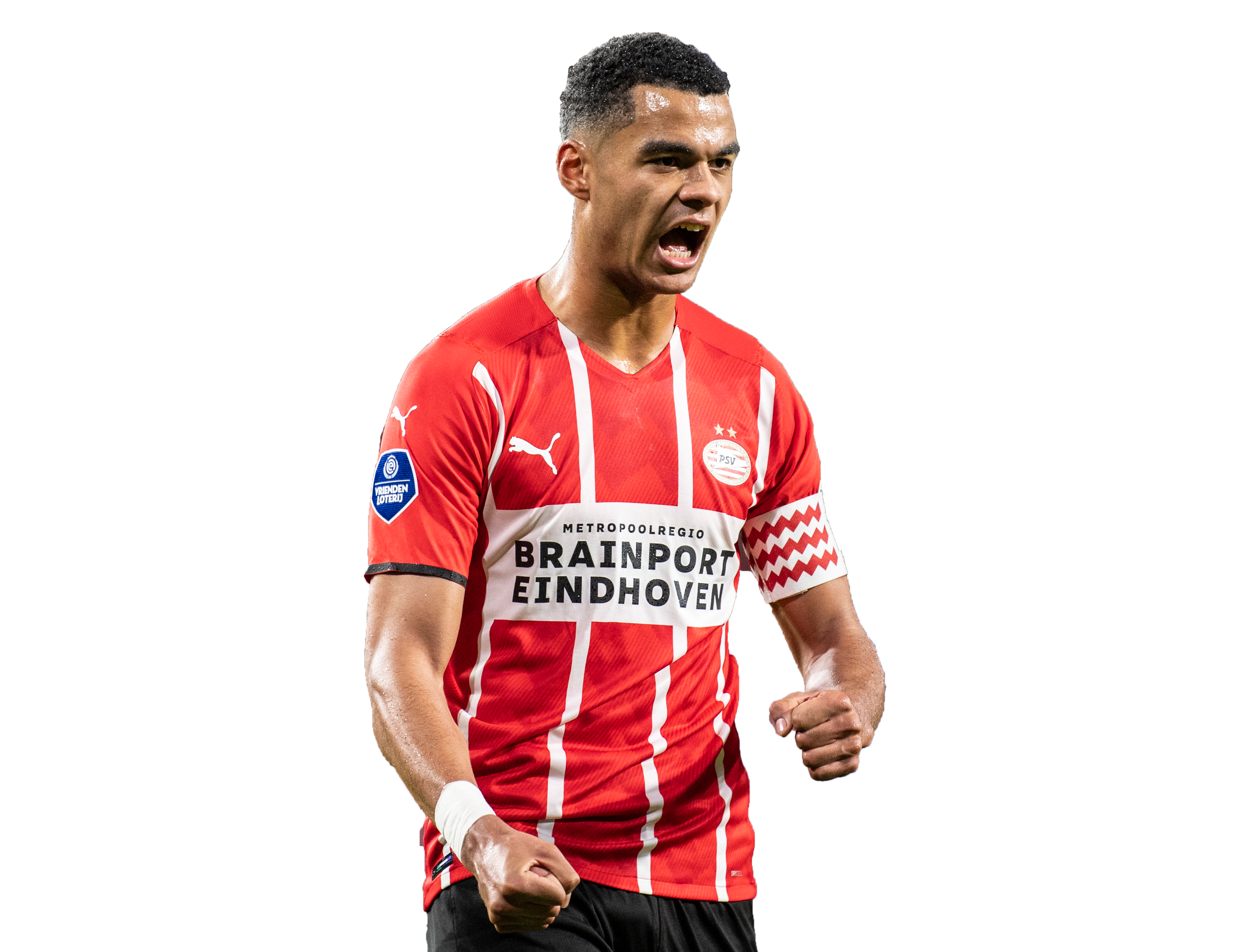 SEG Football | SEG - Sports Entertainment Group