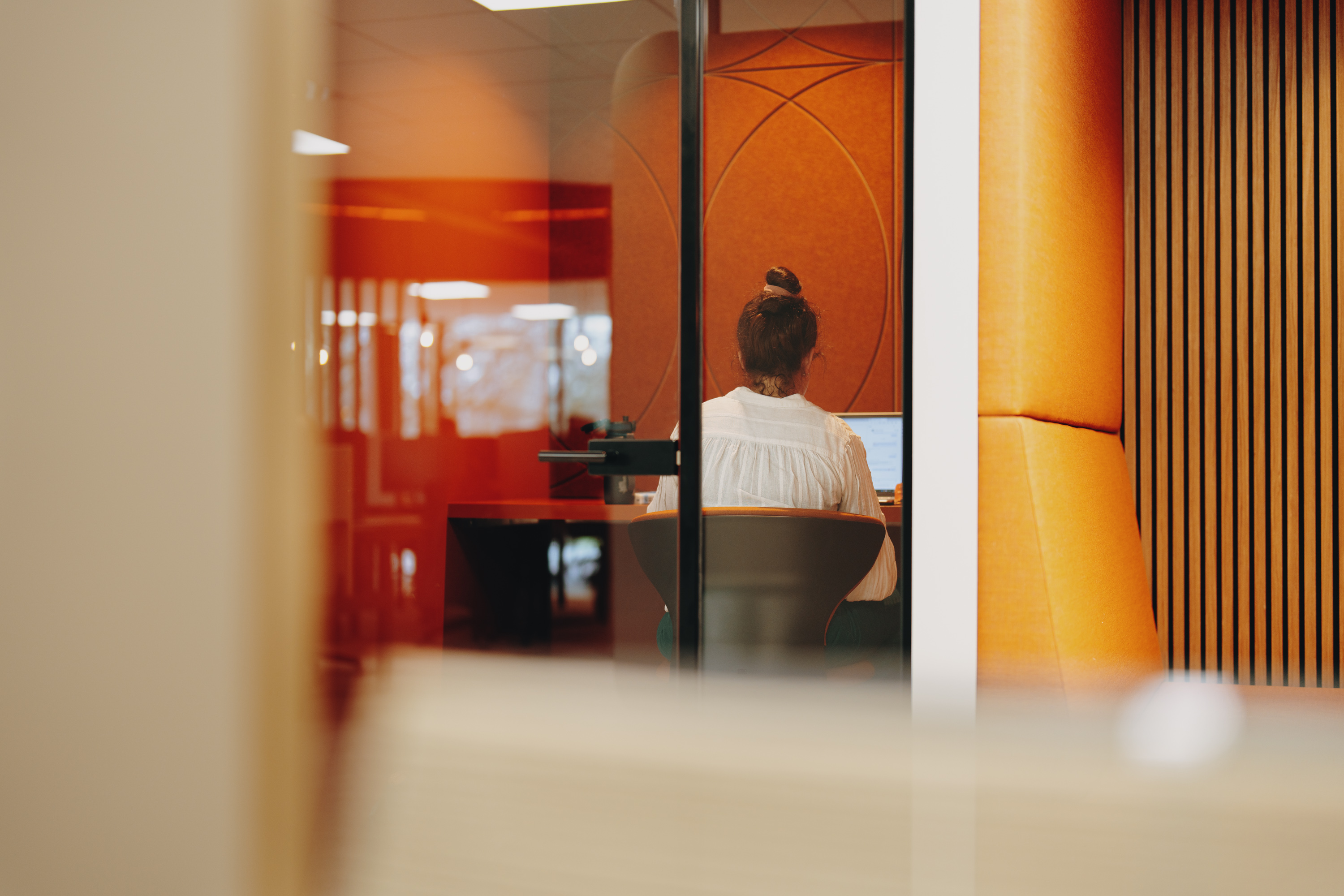 Process implementation: Make new business processes succeed | McCoy