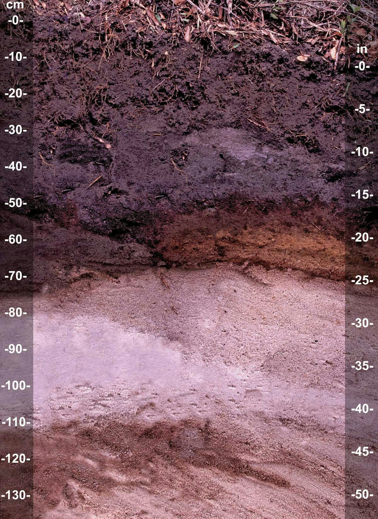 Soil Layers Texture
