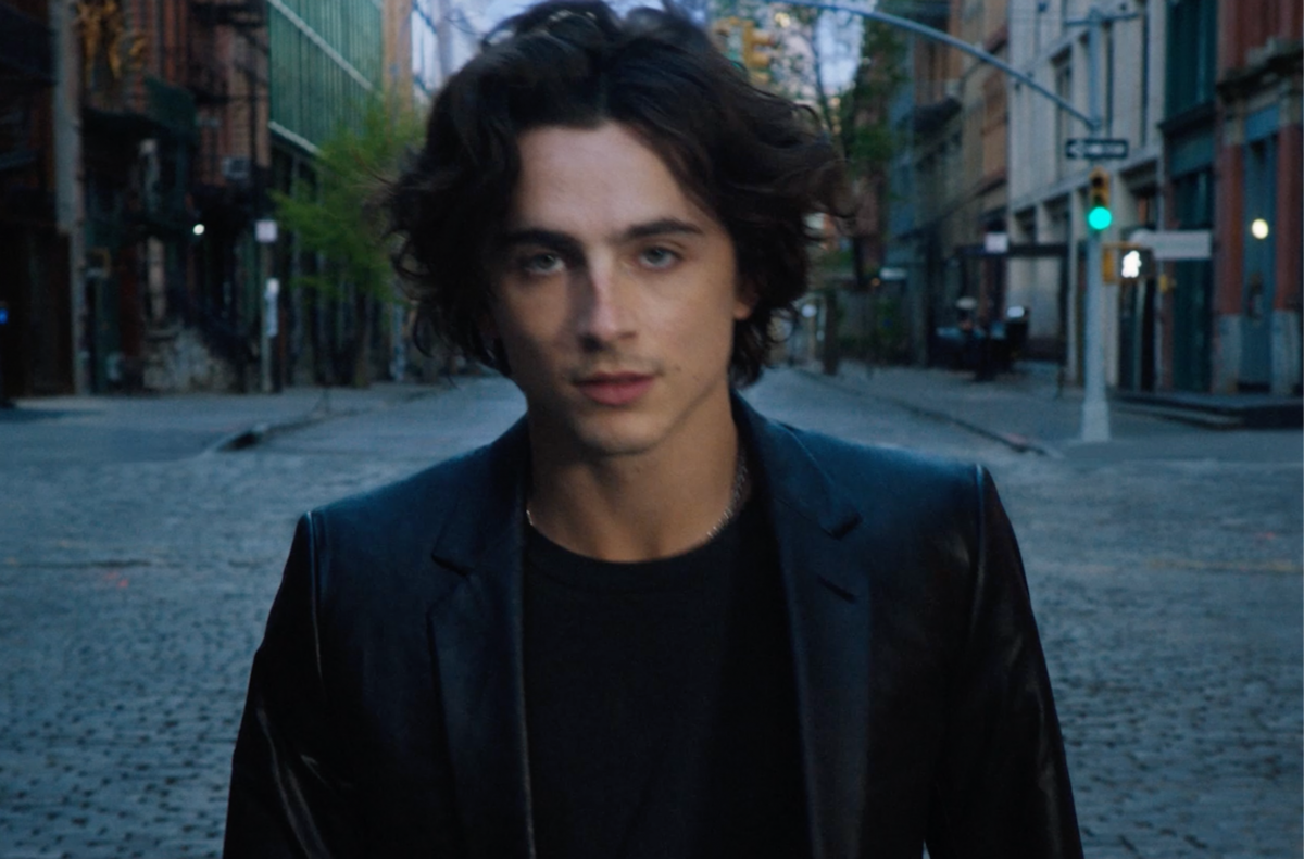 Timothéé Chalamet in the new Chanel perfume commercial