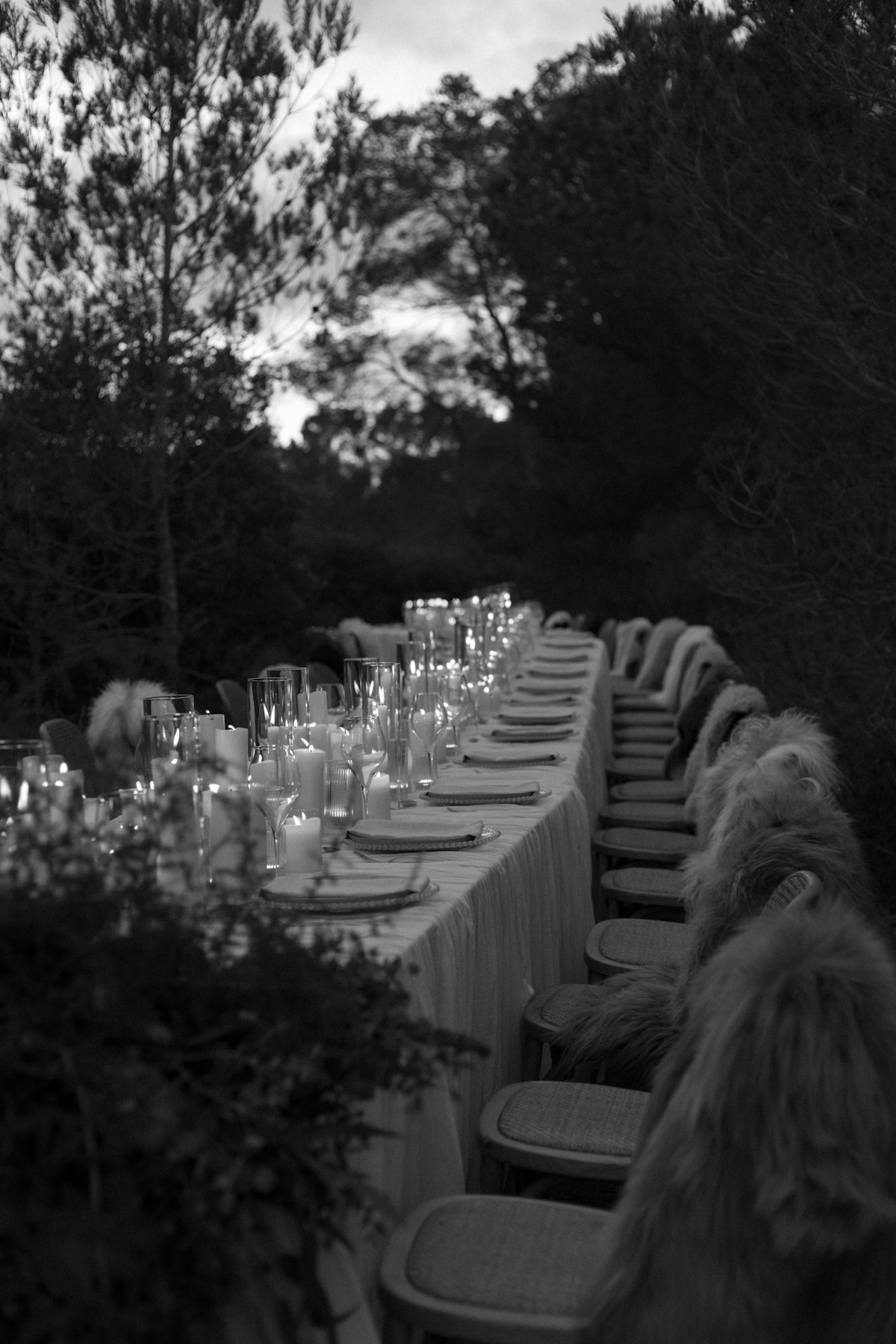 Inside a Magical Festive Forest Celebration