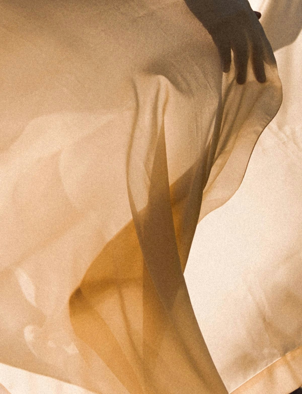 Calm Code: How the Nervous System Shapes Skin Health