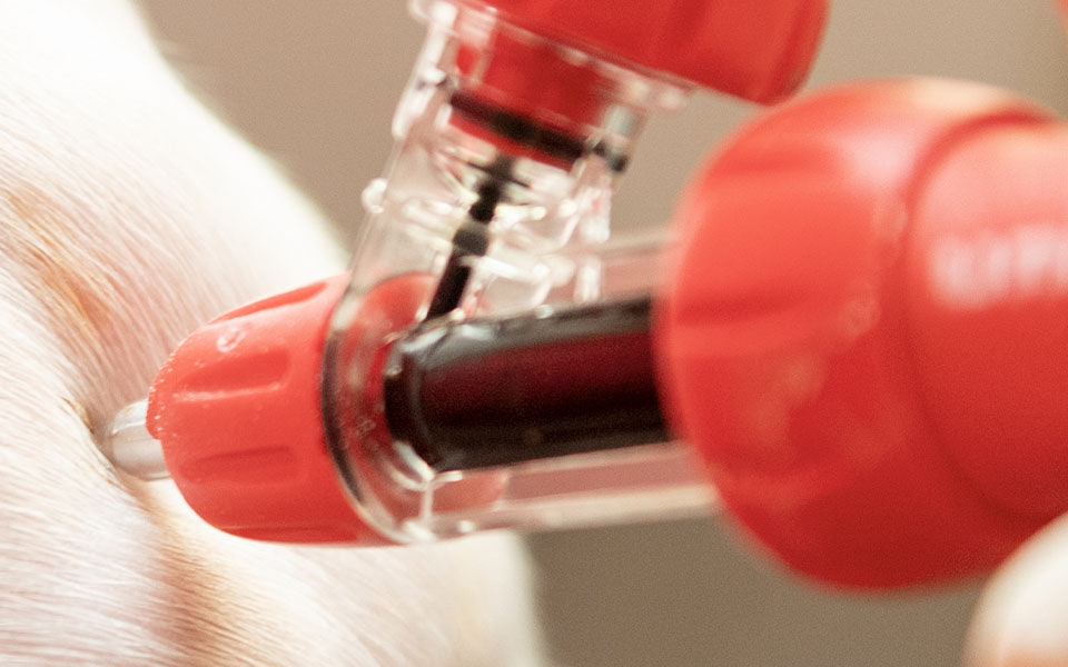 Proper Dosing of Uniferon